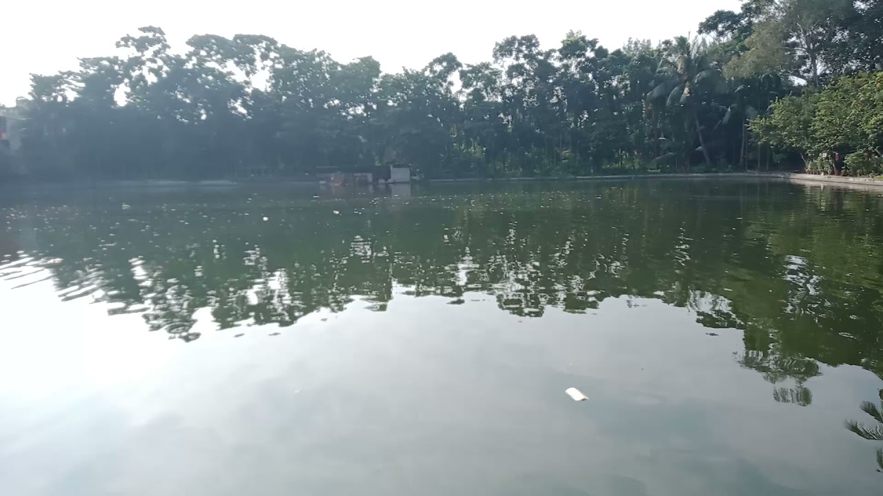 The Pond ।। Indian Pond।। Pukur ।। Pukur - YouTube