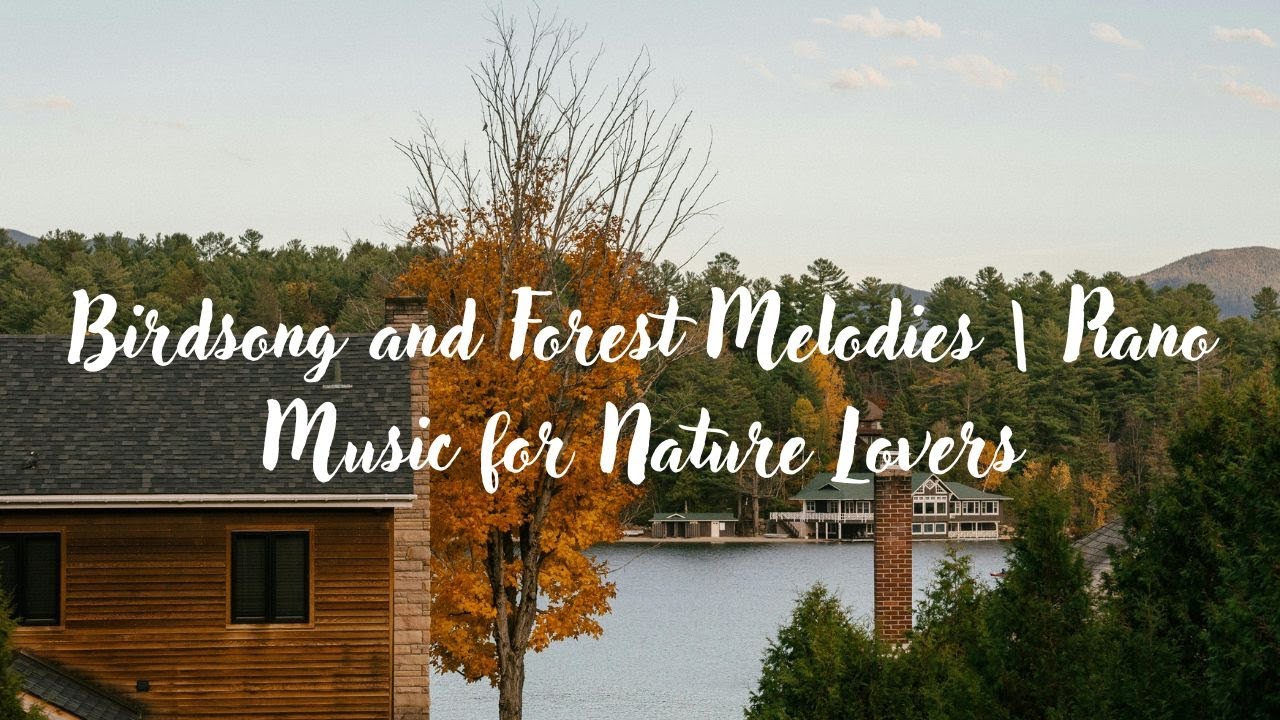 Birdsong | Relaxing Piano Music | Study Reading | Sleep Music | Lo-fi Music| Stress Relief - YouTube