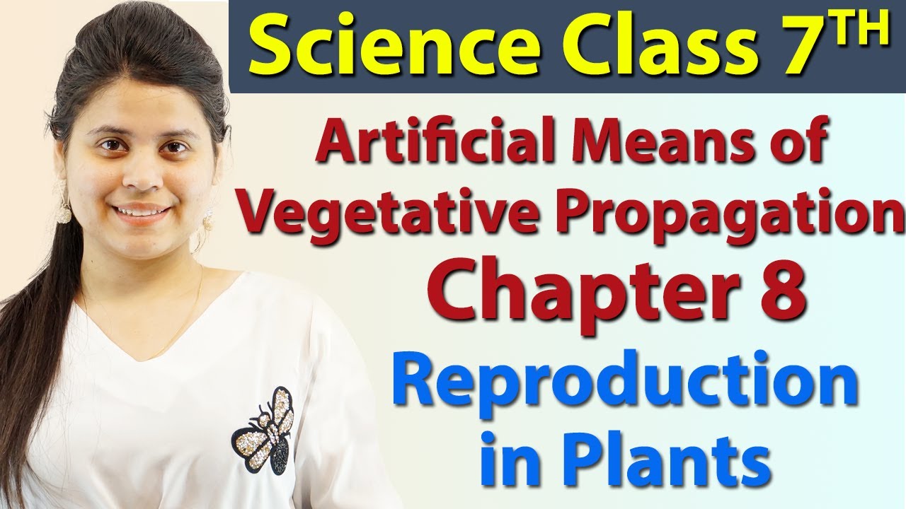 Artificial Means of Vegetative Propagation - Chapter 8 - Reproduction ...