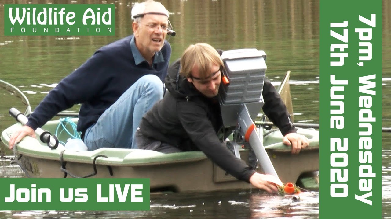 Wildlife Aid LIVE Update - YouTube