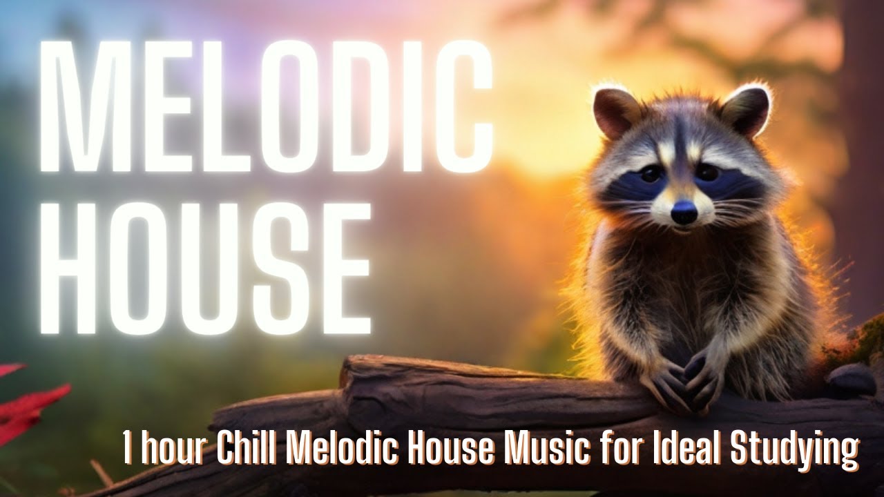 1 hour Chill Melodic House Music for Ideal Chilling | Beat to study ...
