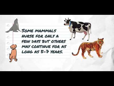 HyperIg PL100 - The Original Hyperimmune Egg Supplement Powder ...