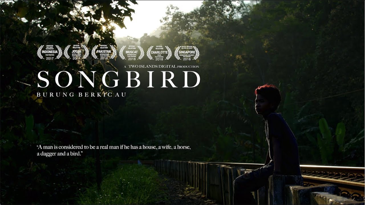 Songbird Documentary Trailer (2017) - YouTube