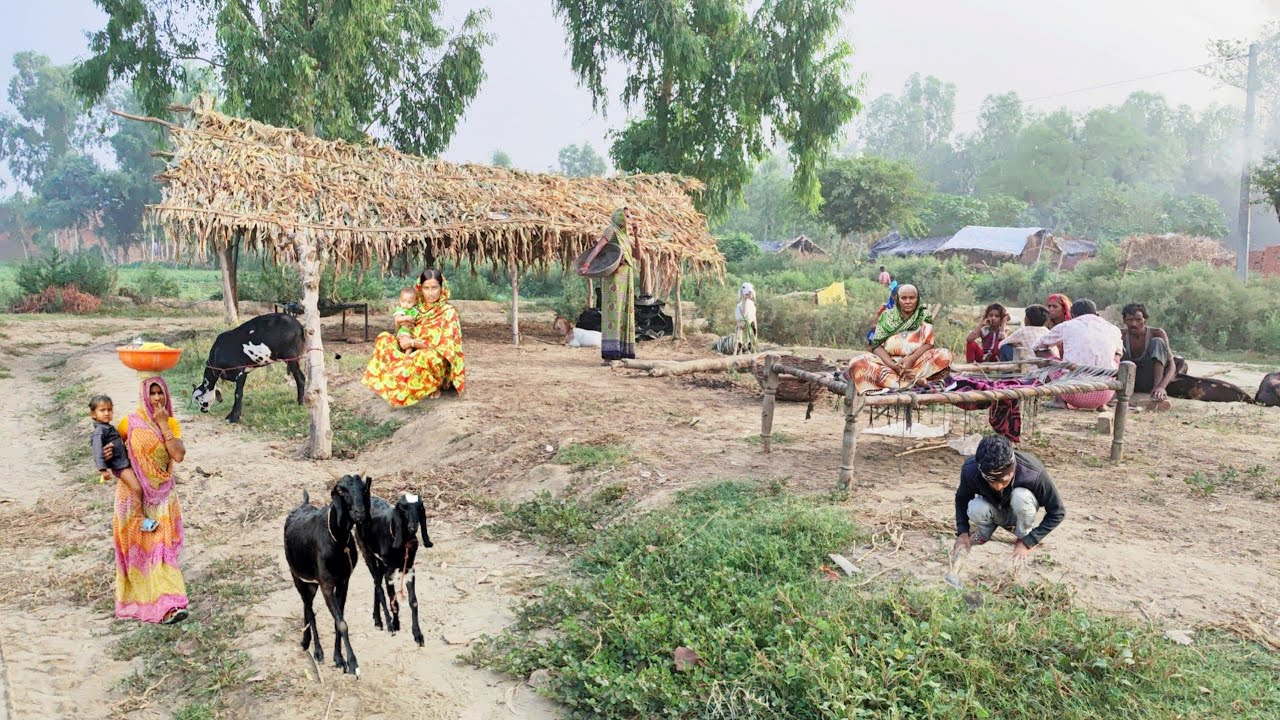 Rural Real life up uttar pradesh in india village Beautiful Real life ...