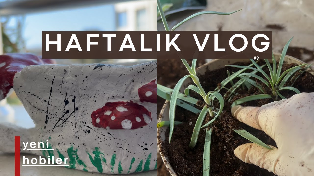 VLOG| Hobi Haftası, Pavlova - YouTube