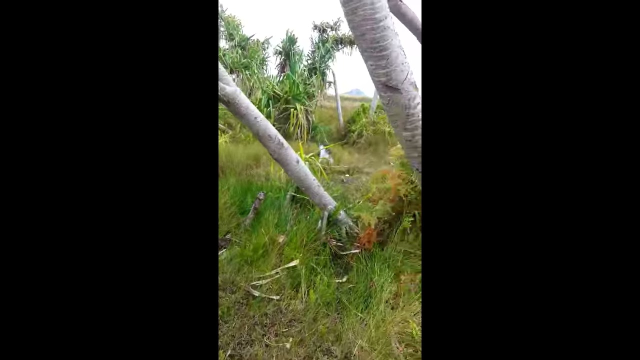 Floating Island Labasa Fiji - YouTube