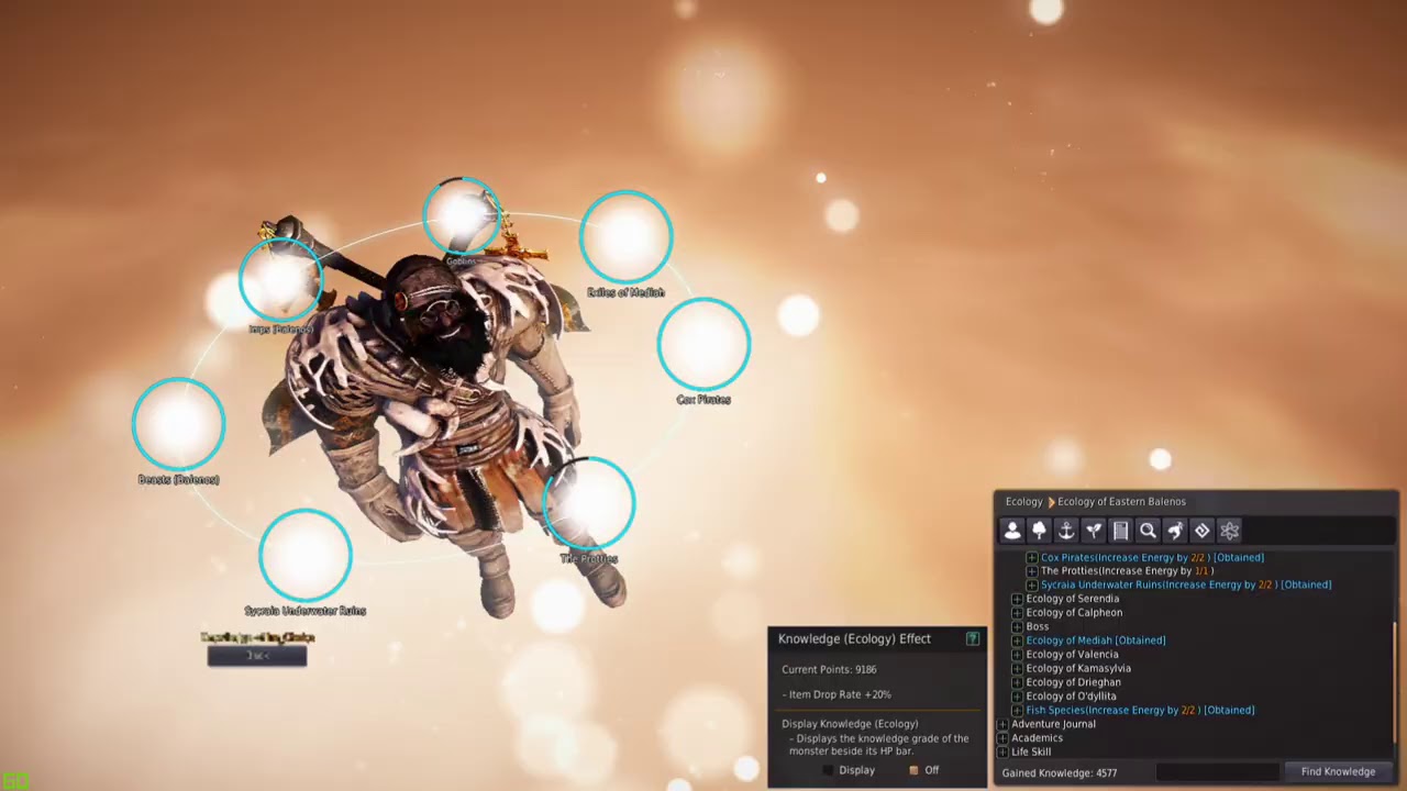 Black Desert Online Permanent 20% Drop Rate Bonus! | BDO Ecology Guide ...