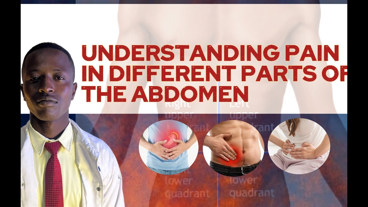 Abdominal Pain Map: Save your life before Doctors (What Each Pain ...