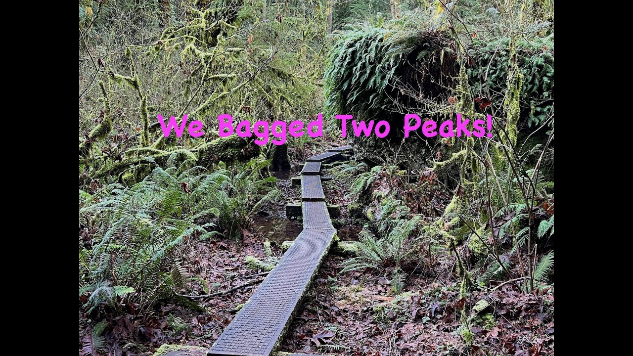 Whittaker Wilderness Peak Loop | Issaquah, WA - YouTube