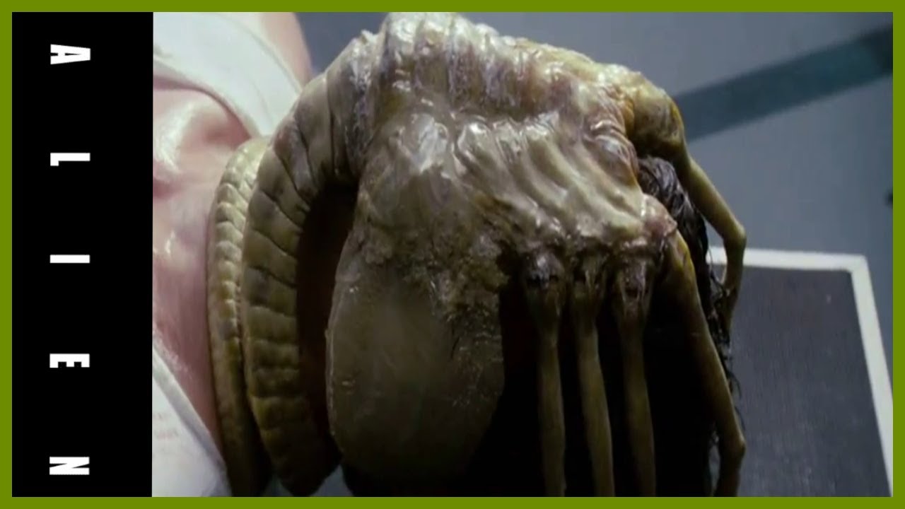 Alien (1979) Film - Facehugger Bloodacid Szene (Deutsch/German) - YouTube