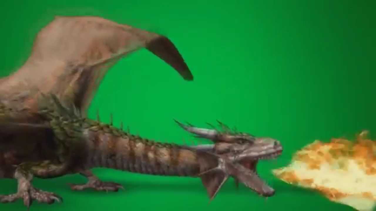 Greenscreen Dragon w/ Fire HD - YouTube