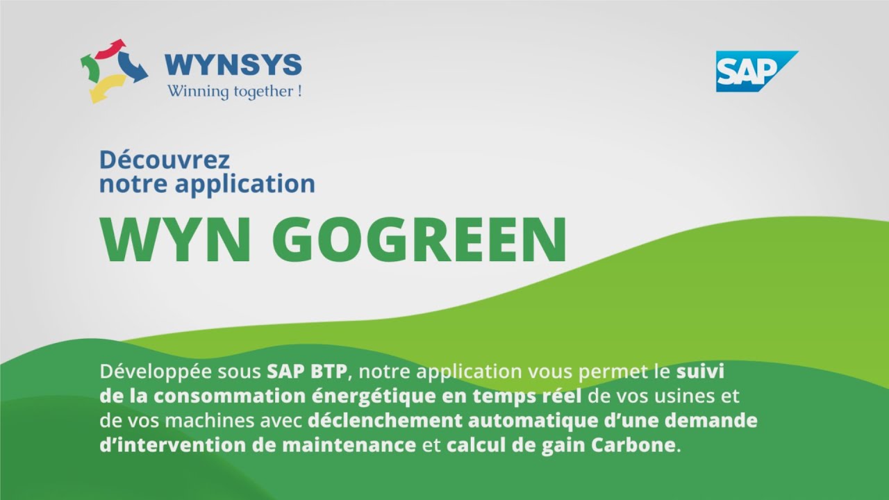 WYNSYS - WYN GOGREEN - YouTube