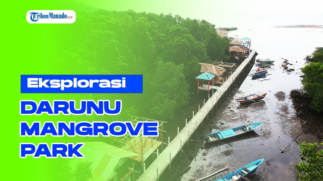 Menjelajahi Pesona Wisata Darunu Mangrove Park di Minahasa Utara ...
