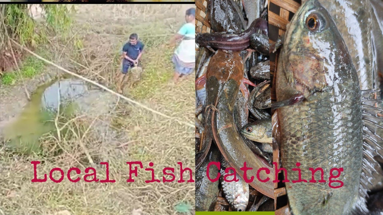 #Local Fish Catching in Village - YouTube