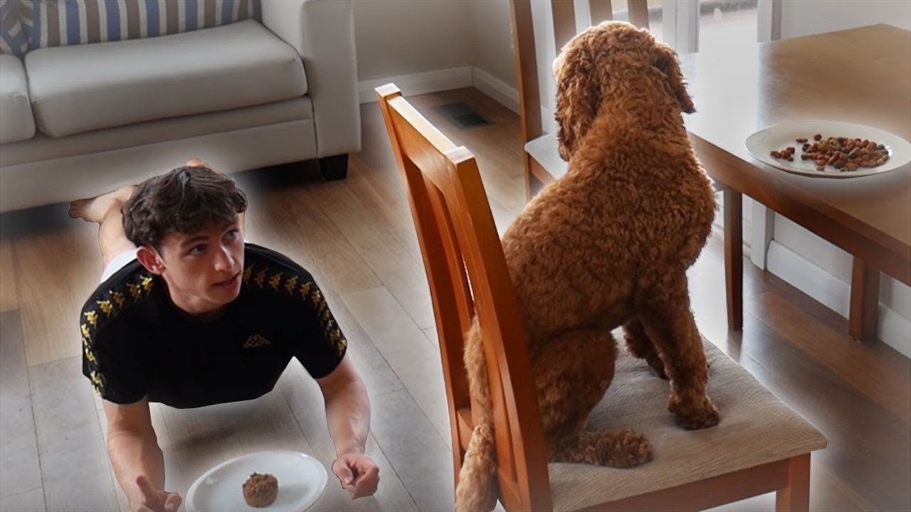 Switching Lives With My Dog - YouTube