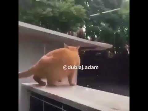 En Komik Montajlar 1 Mayıs 2018