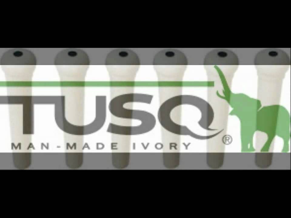 GraphTech TUSQ Bridge Pin Comparison - YouTube