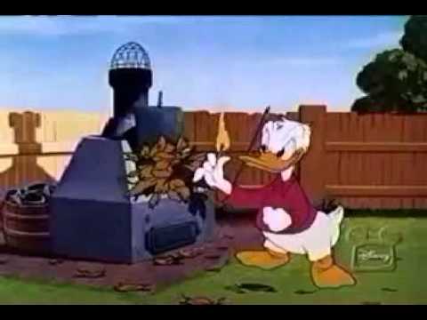 Disney Donald Duck The New Neighbor - YouTube