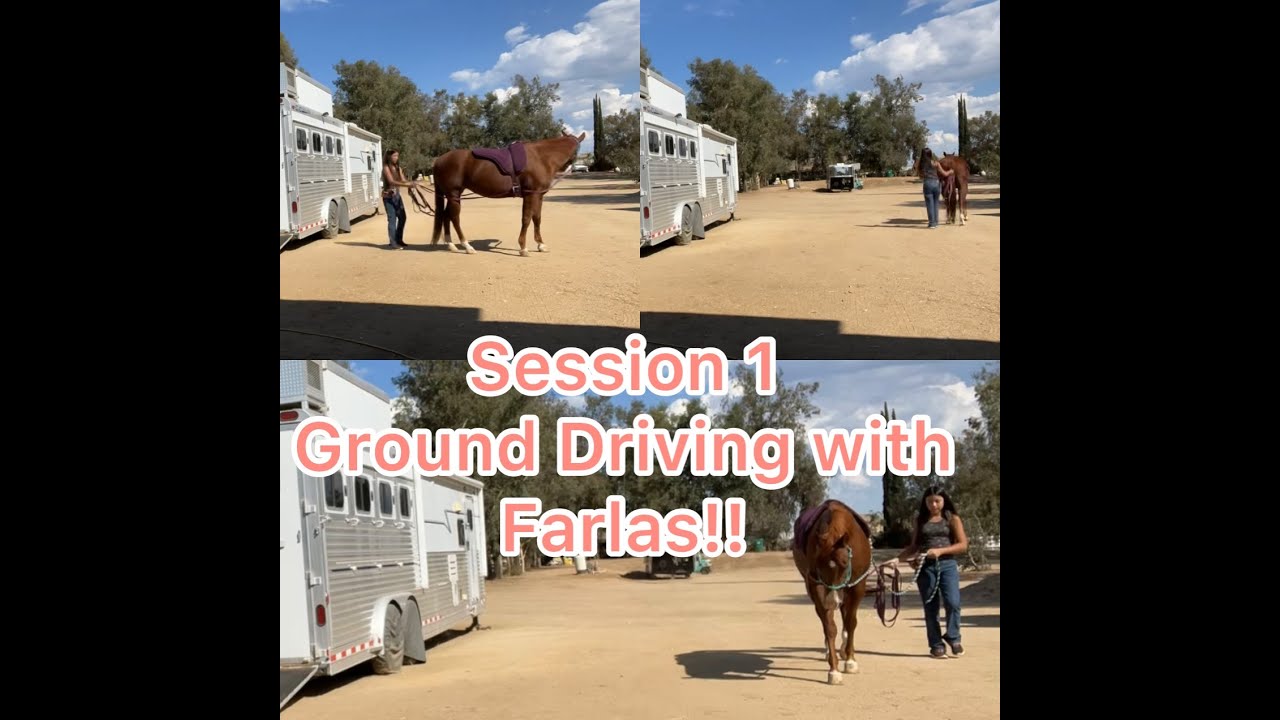 Session 1 Ground Driving with Farlas!! - YouTube