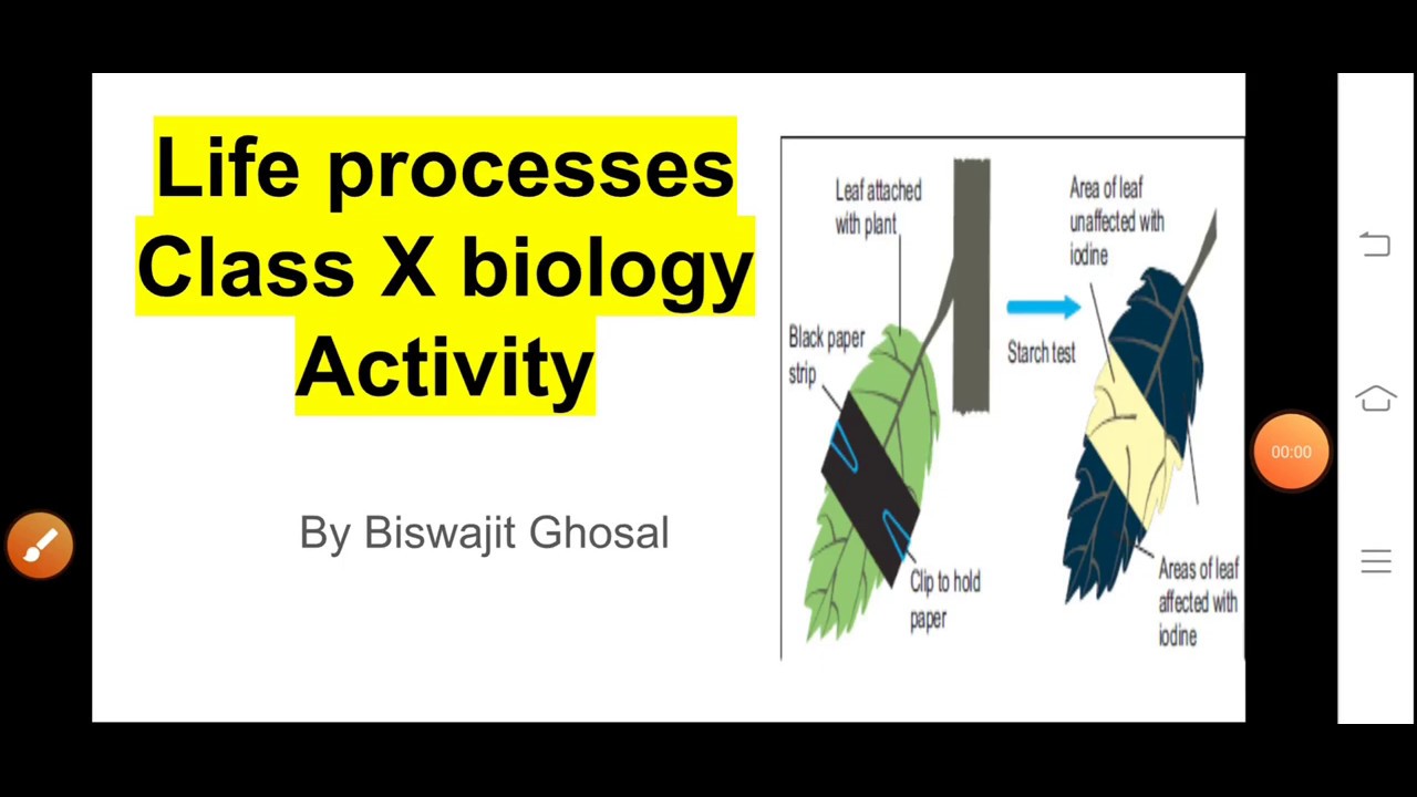 Life processes Activities. // class X Biology// CBSE// - YouTube