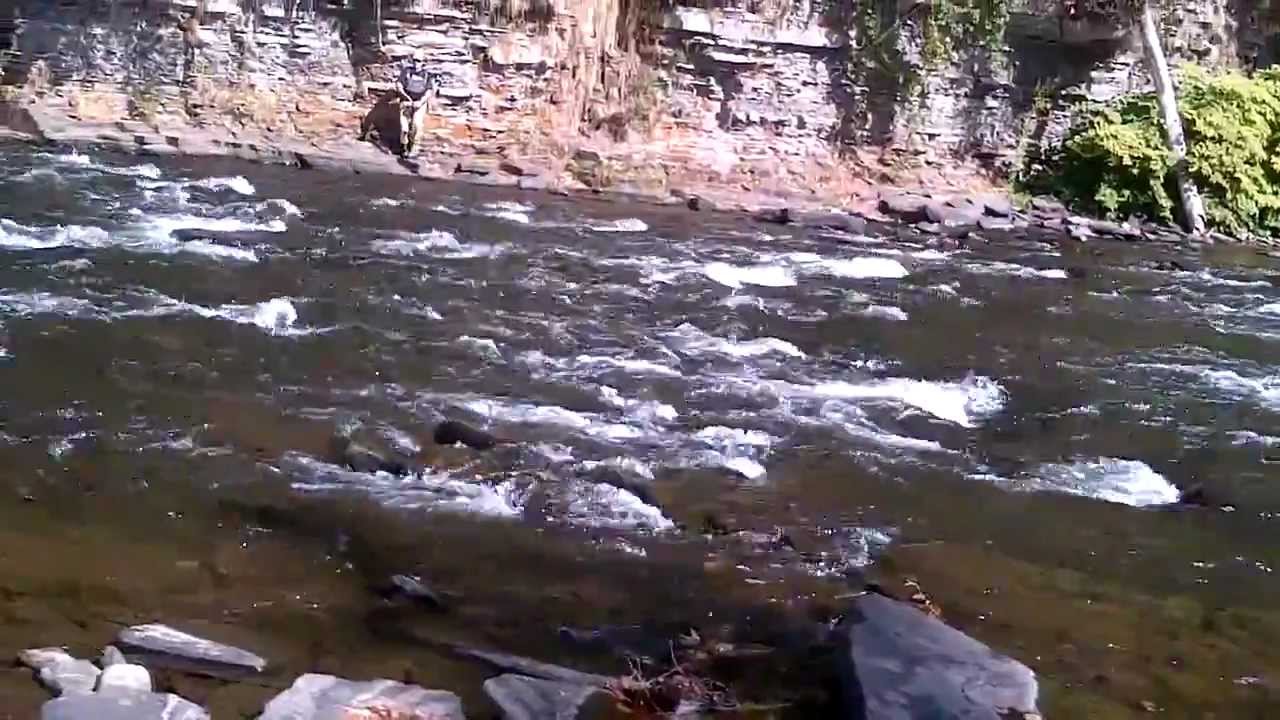 King Salmon Douglaston Salmon Run - YouTube