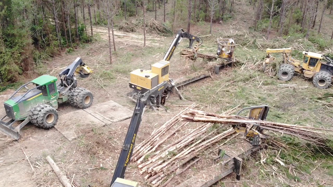 John Deere & Tigercat Machines Doing Work! - YouTube