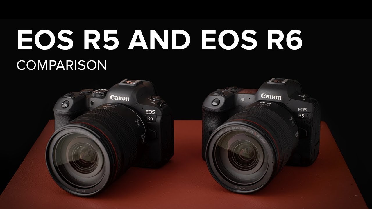 Canon EOS R5 Vs EOS R6 Comparison Review YouTube