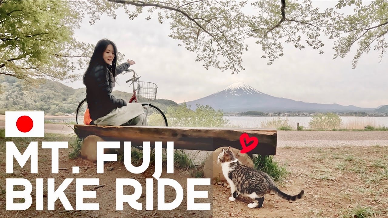 Taking the Naruto Train to Mt. Fuji, JAPAN 🇯🇵 - YouTube