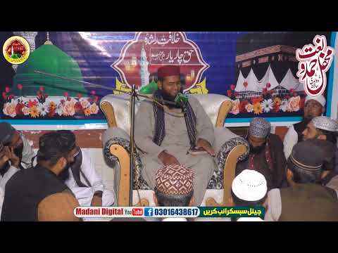 Mian Arif Tahir || New Natt 2024 //Mihte Pak Madinee De //