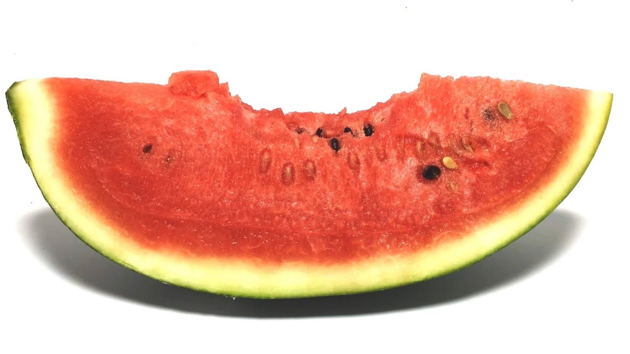 Watermelon - Time-lapse Experiment - YouTube