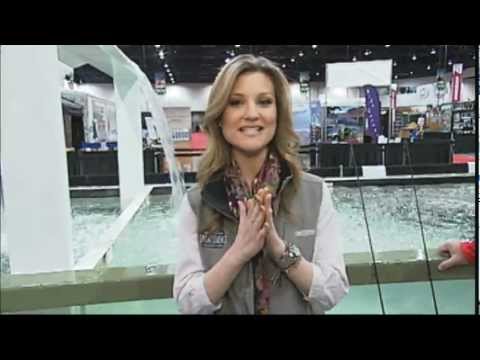 Lindsey Simon Entertainment/Lifestyle Reporter - YouTube