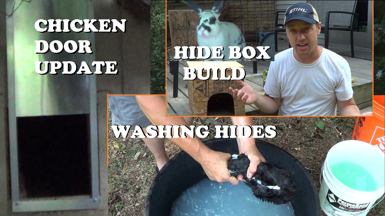 EASY HIDE BOX BUILD/CHICKEN DOOR UPGRADE/ WASHING RABBIT HIDES - YouTube