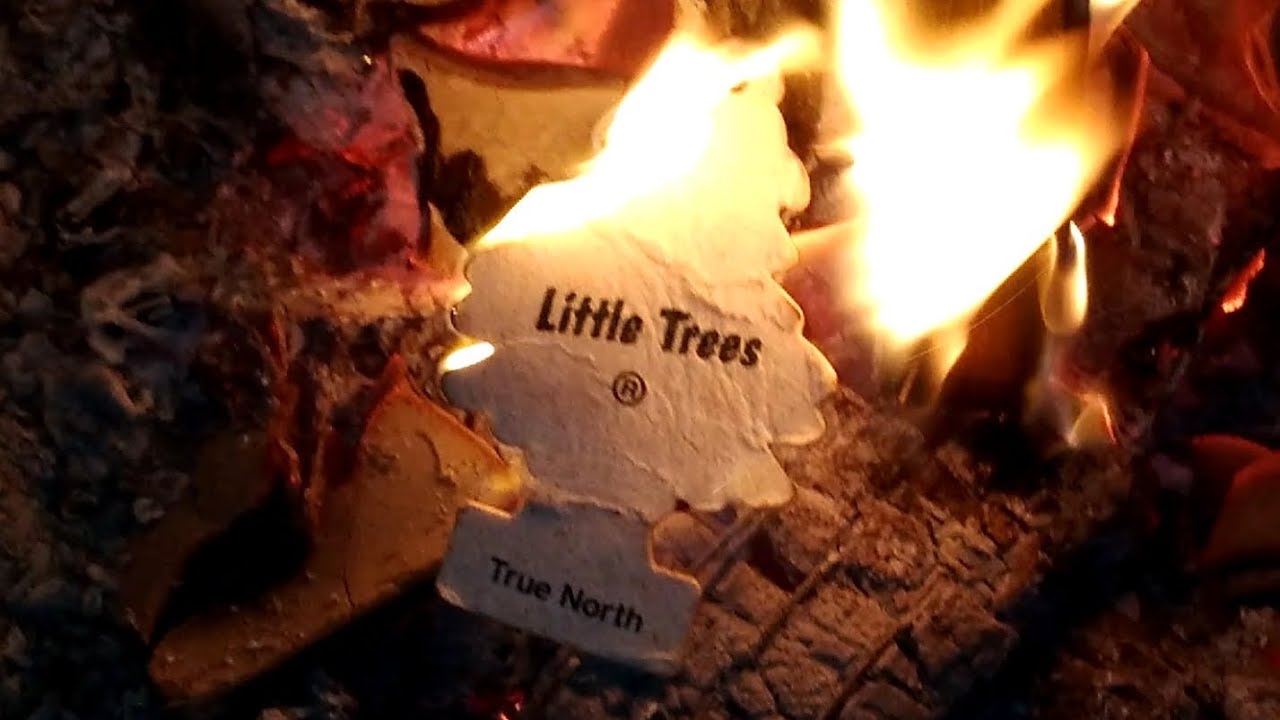 Burning Little Trees True North - YouTube