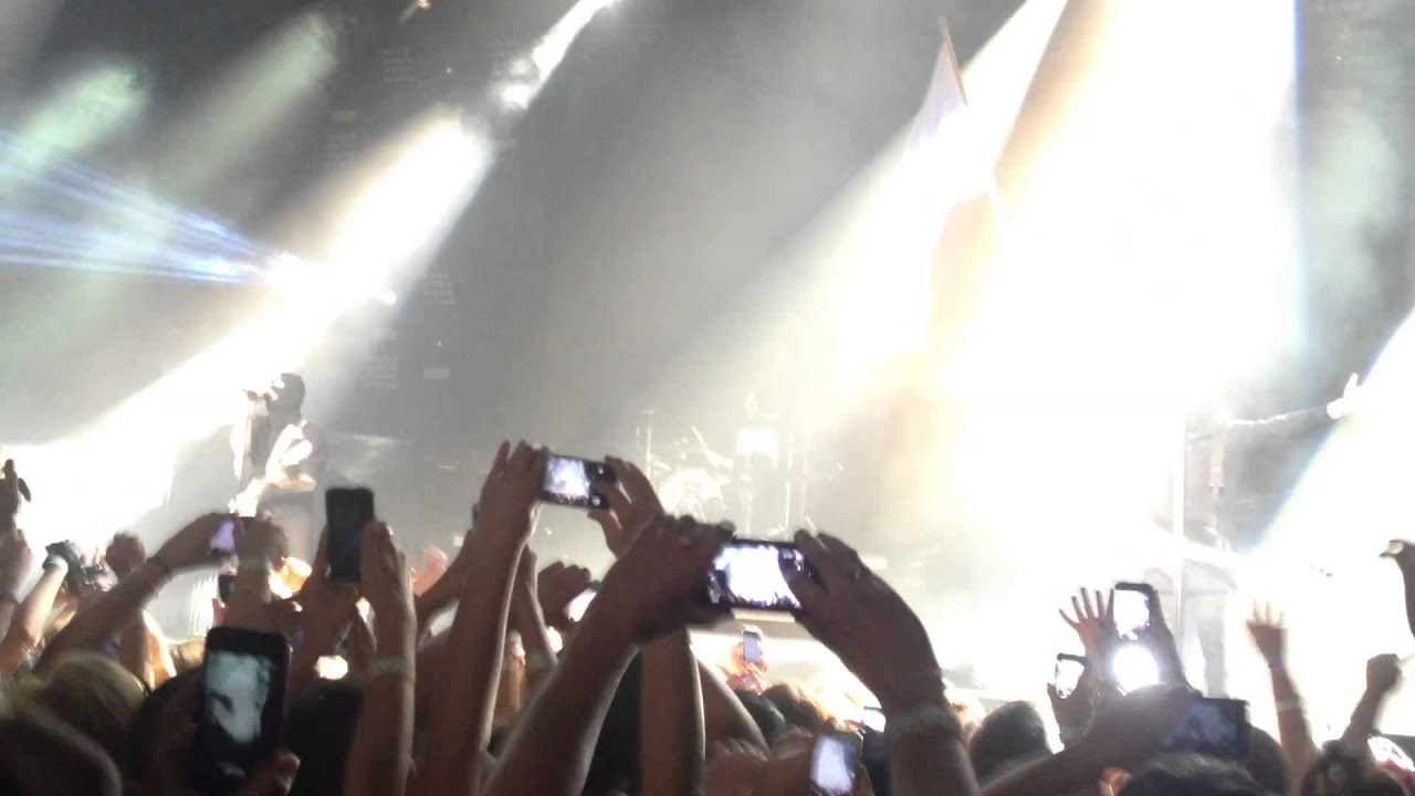 The Phoenix (Live) - YouTube Music