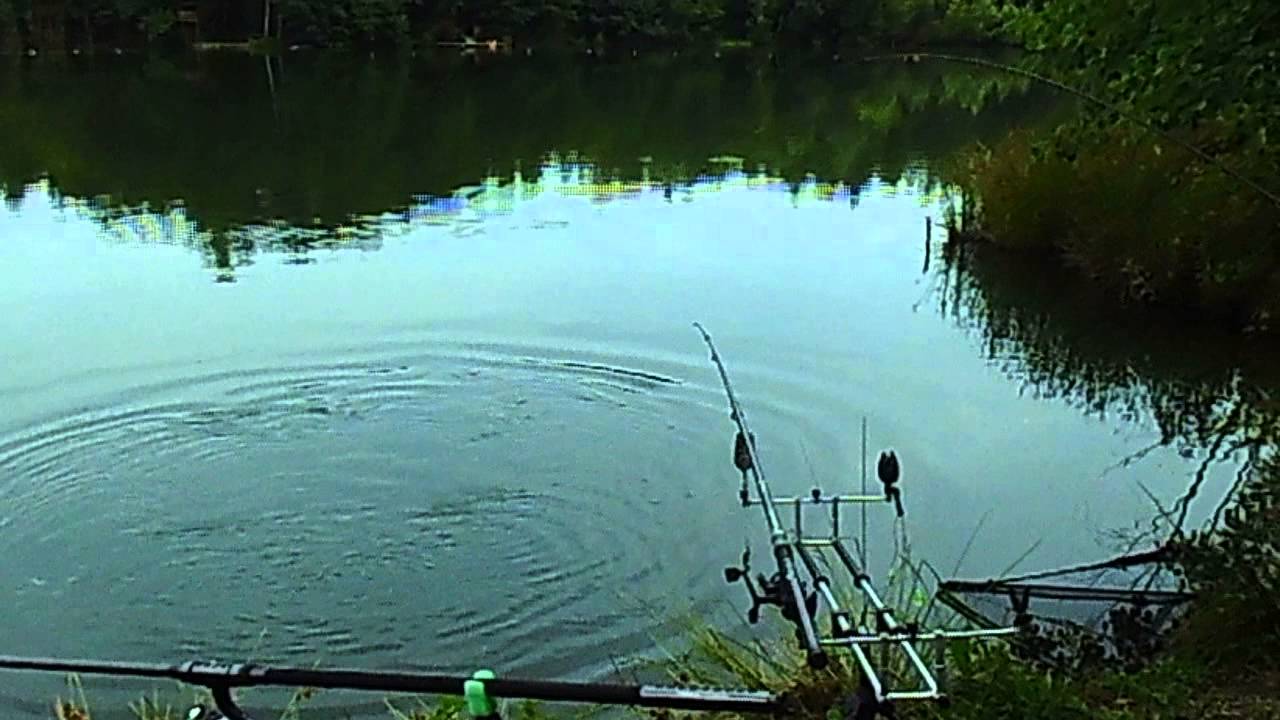 Saran Smoluca - YouTube