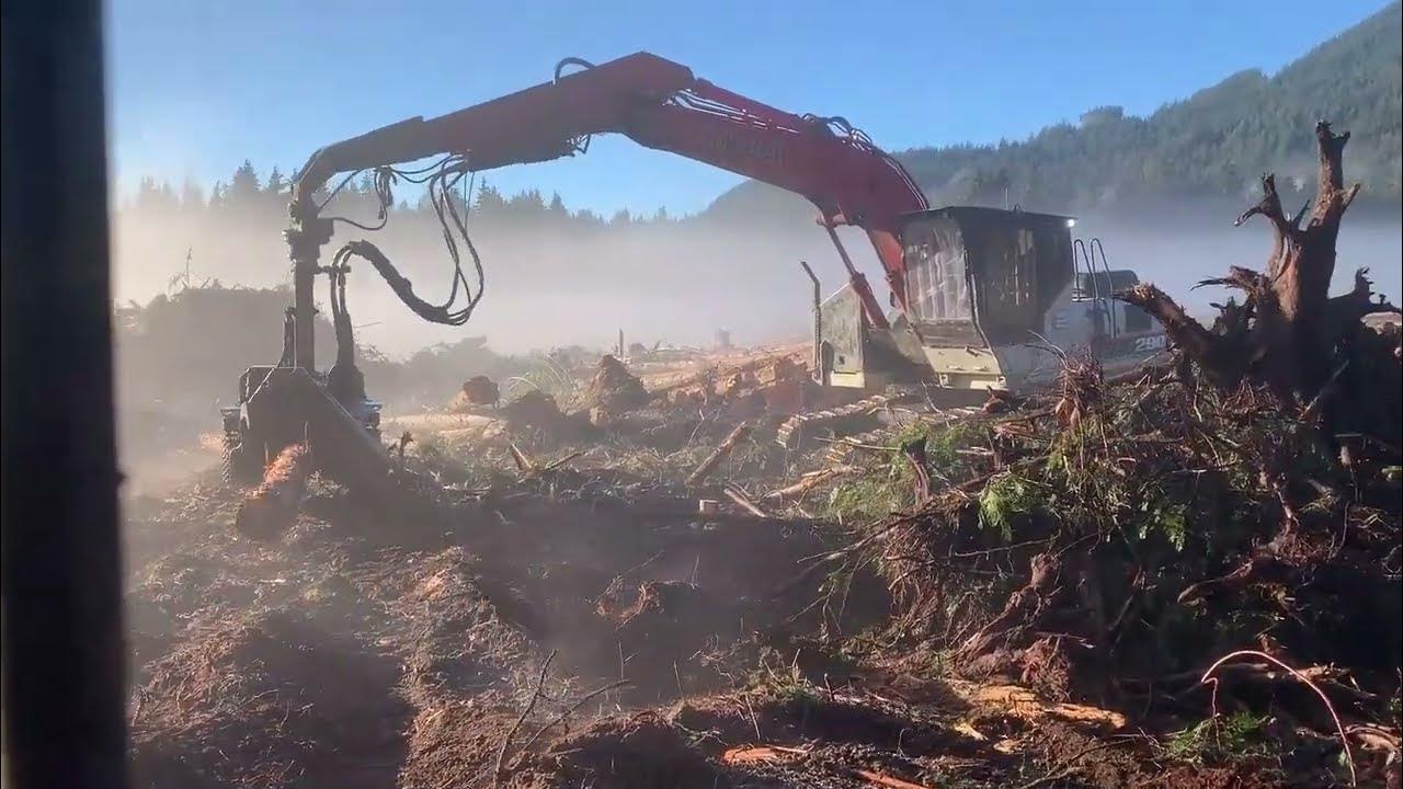 Monday Logging - YouTube