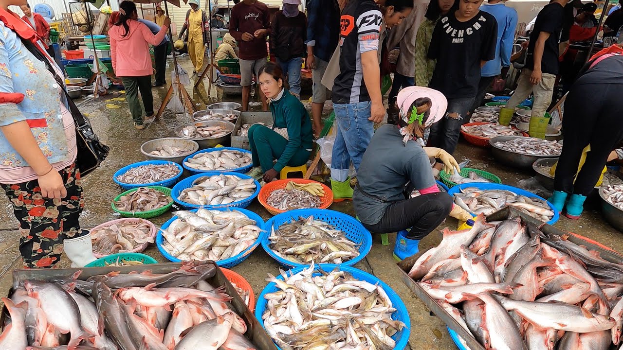 The Best Wholesale Fish Market - Fantastic Distribution Site & Tonnes ...