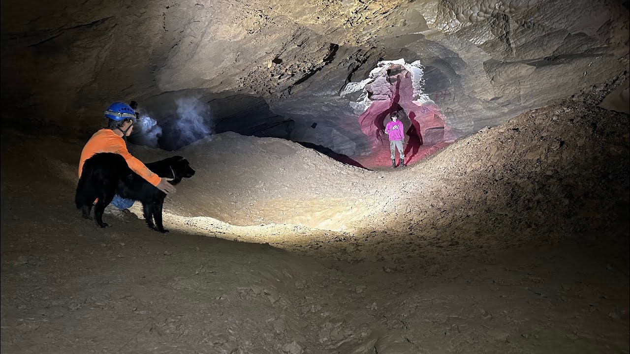 Exploring A Cave With Sparky The Cave Dog - YouTube