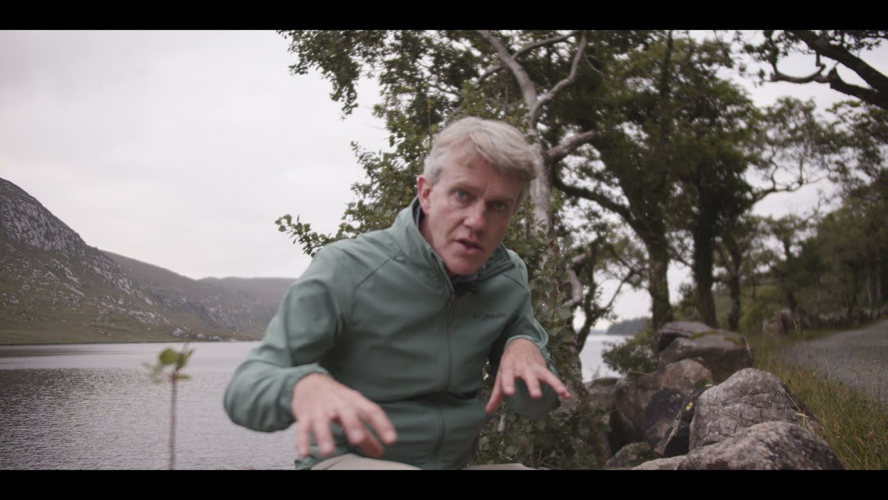 Ireland's Native Trees - EPISODE 6 ASPEN - YouTube