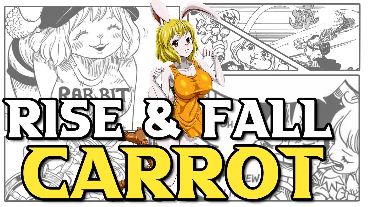 One Piece - Rise & Fall of Carrot - YouTube