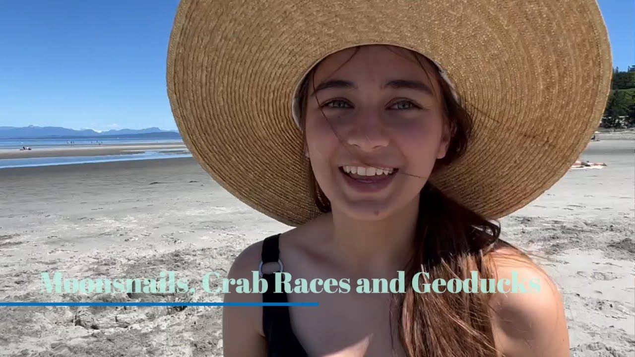 Vancouver Island Geoducks and Moonsnails - YouTube
