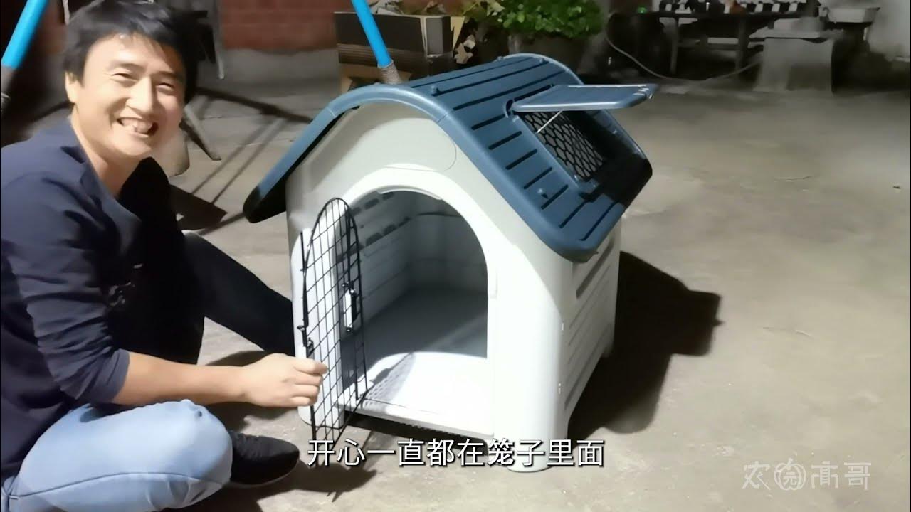 毛孩们收到了过冬礼物，还有毛绒大玩具，两狗高兴的又蹦又跳 Youtube