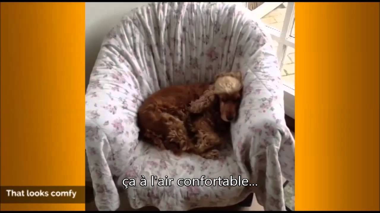 BEST VINES - Alexander Holtti - Vine Compilation 2014 - VOSTFR - YouTube