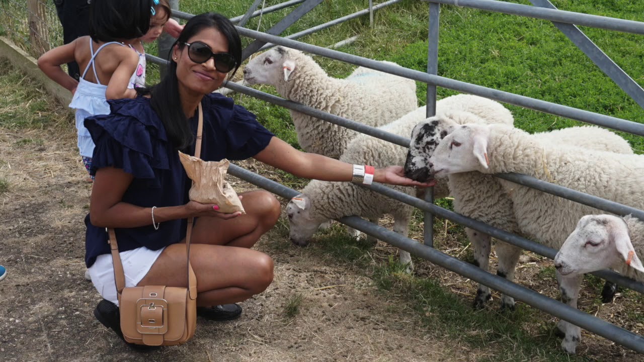 Kids Day out at Lee Valley Park Farm, EN9. - YouTube