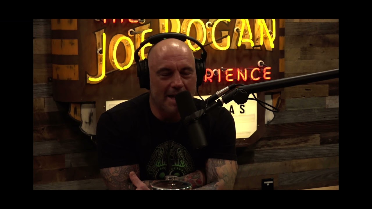 Joe Rogan makes bear noise - YouTube