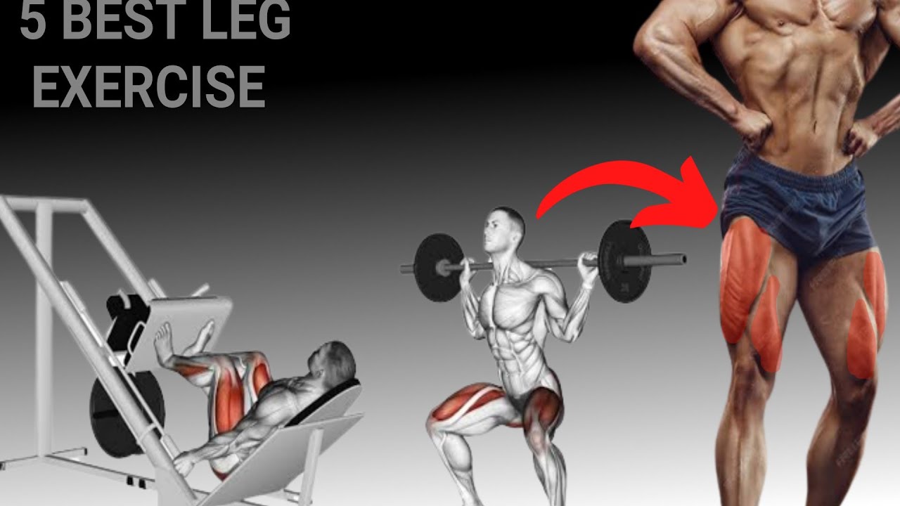 5 BEST LEG EXERCISE AT GYM | SIONMONTY FITNESS - YouTube