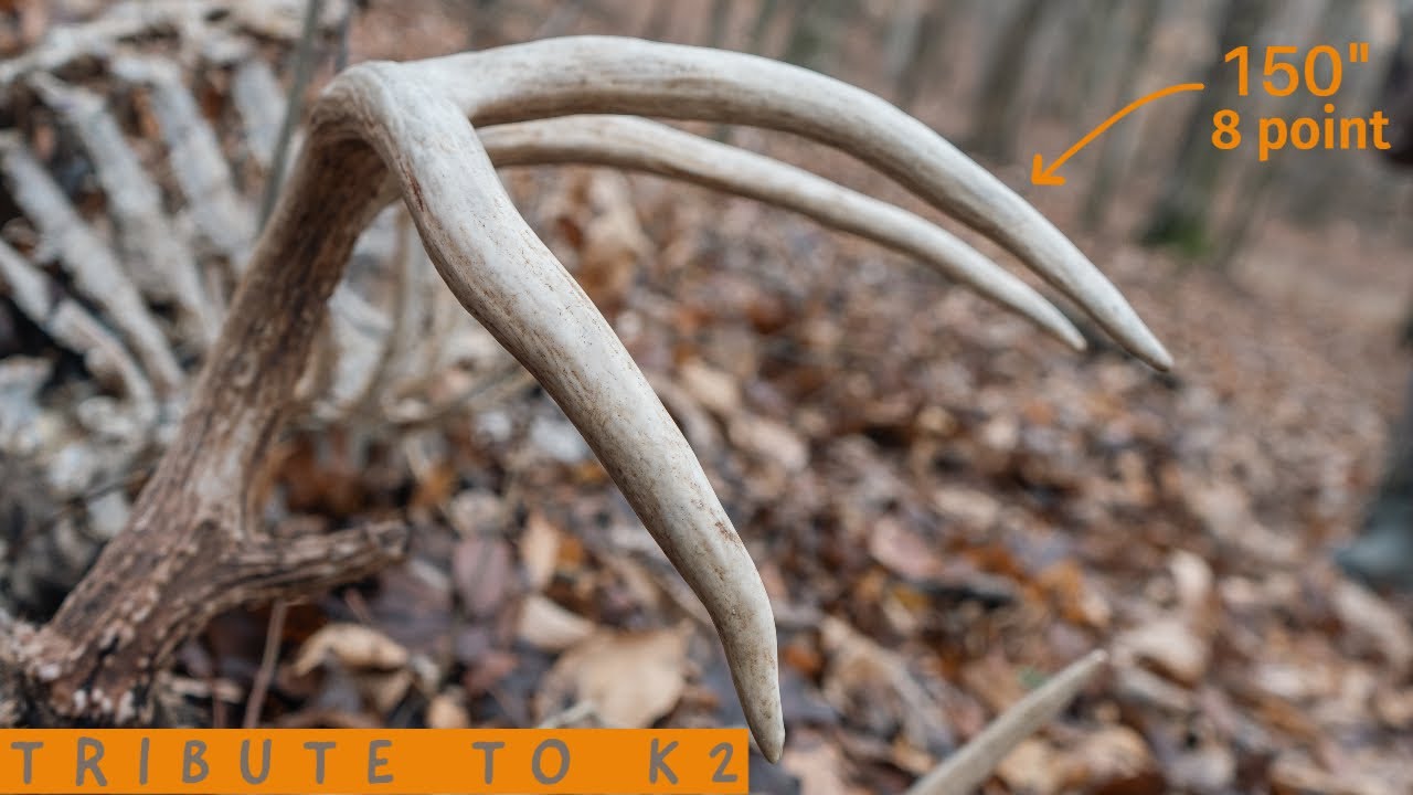 TRIBUTE TO K2: 150" KENTUCKY 8 POINT!! - YouTube