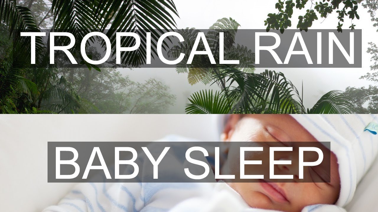 Tropical Rain for Babies 10 Hours | Relaxing and fast sleep for babies ...