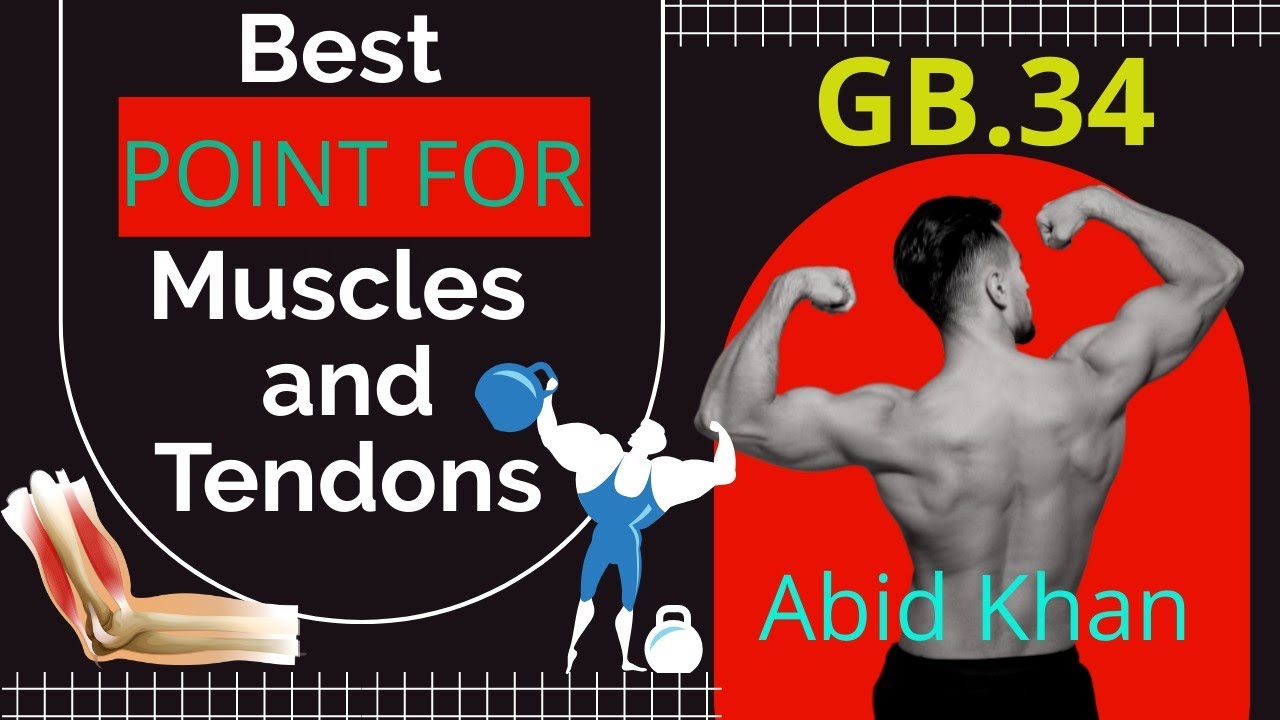 GB. 34 for Muscles and Tendons - YouTube