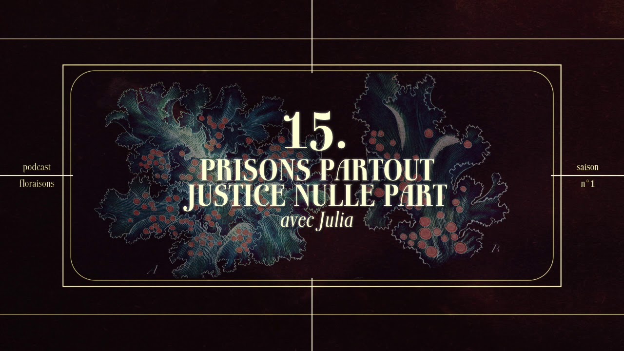 1-15 : Prisons partout, Justice nulle part (avec Julia) - YouTube